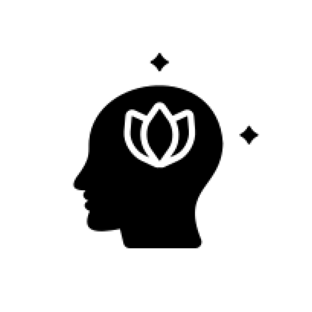 STRAE Fingerboard Shop – Strae Boards